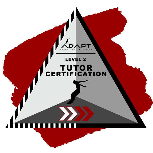 Level 2 Tutor Certification (Europe) – ADAPT Qualifications